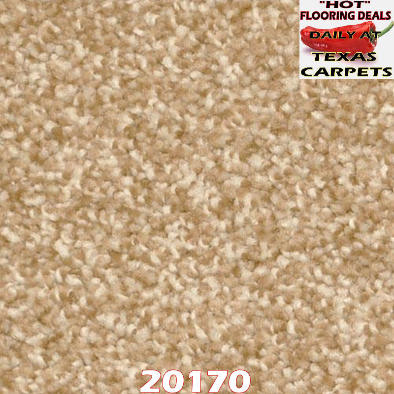 Treasured Moment | Dixie Home | Texas Carpets