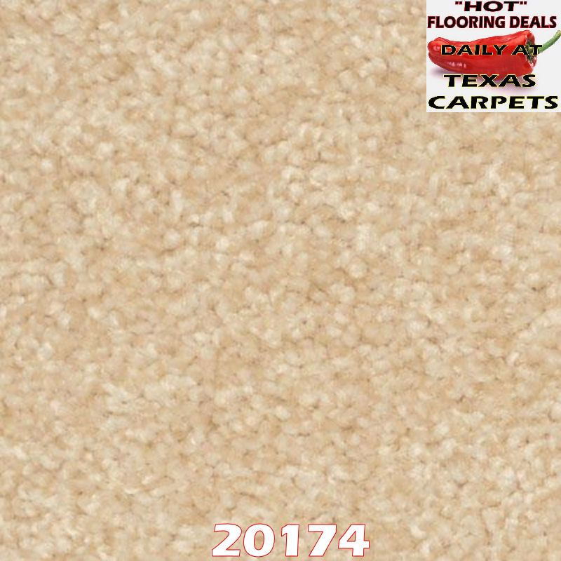 Treasured Moment | Dixie Home | Texas Carpets