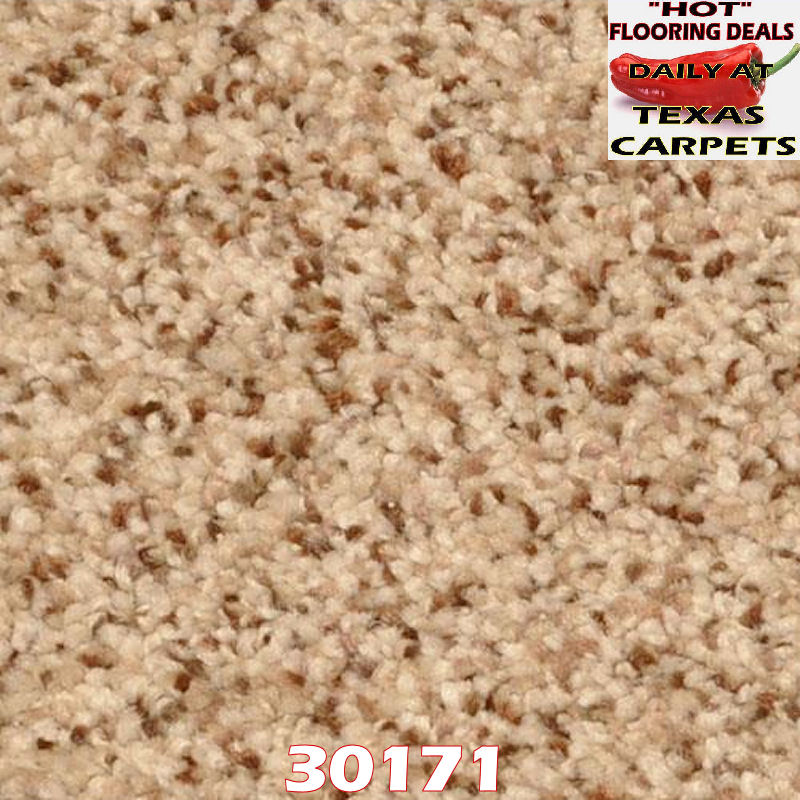 Treasured Moment | Dixie Home | Texas Carpets
